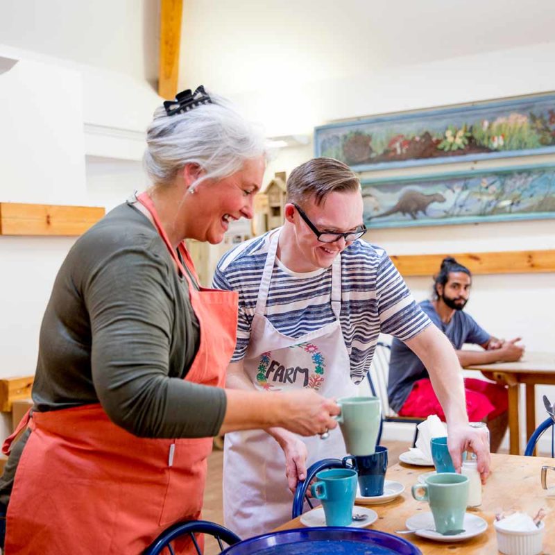 Companies and partners